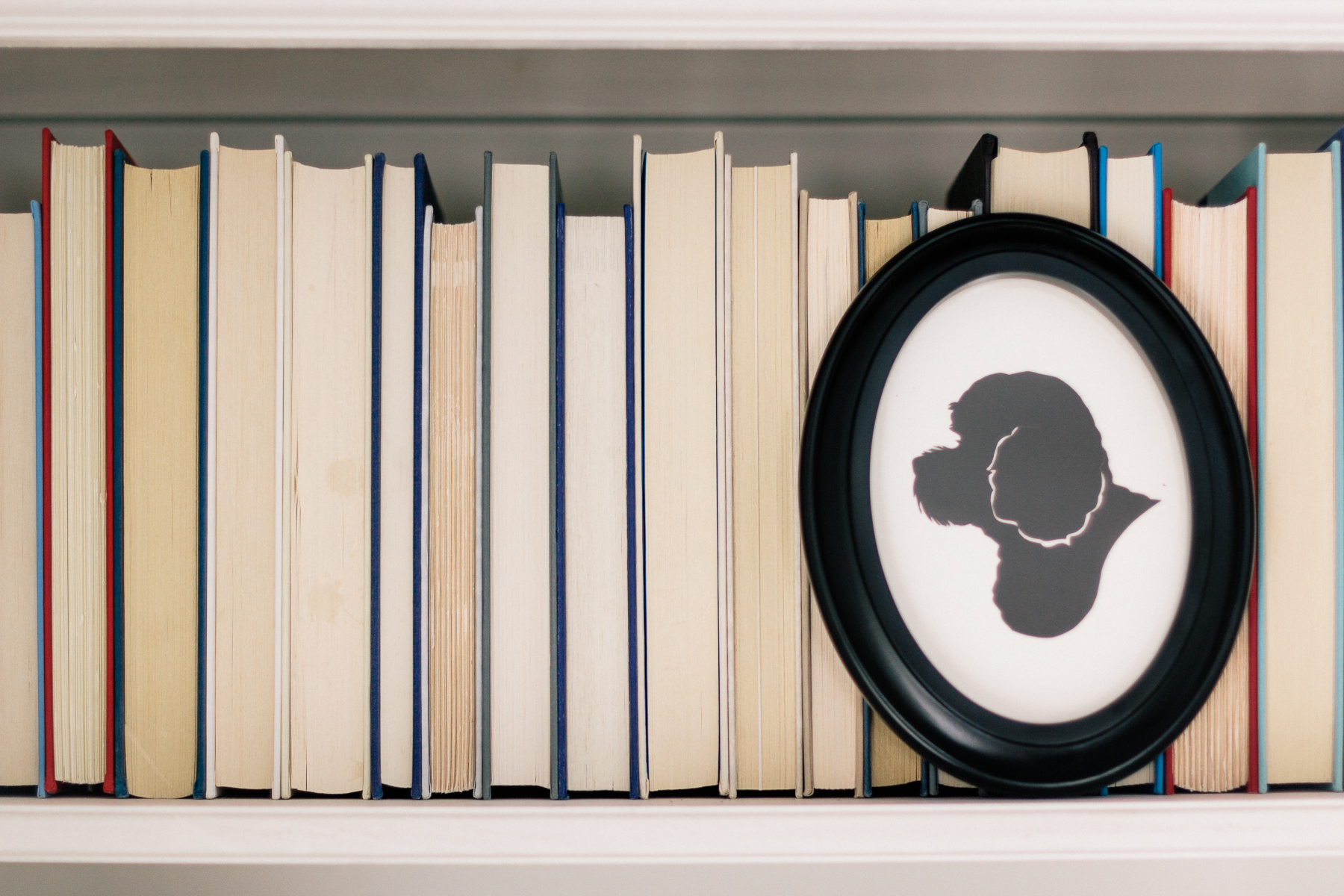How To Style Books On Bookshelves - 20 Rules You Can Do NOW
